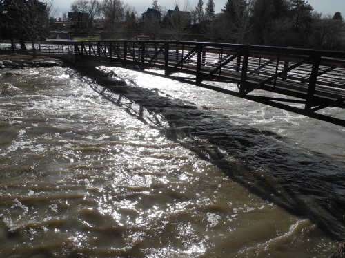 Truckee River flooding | NewToReno Blog